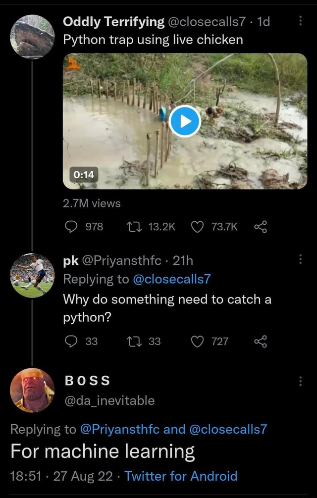 Oddly Terrifying @closecalls7 - id Python trap using live chicken 2.7M views pk @Priyansthfe 978 ...