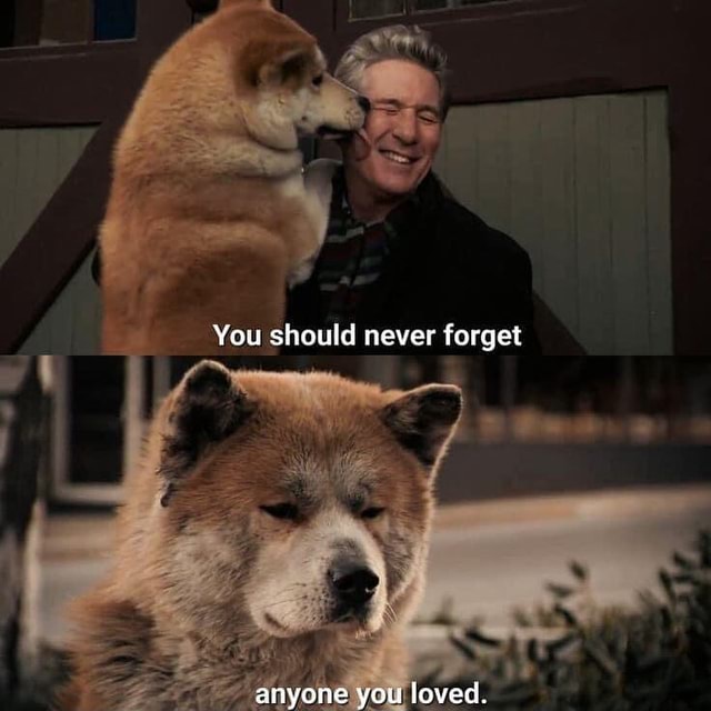 🖤🥺 - Hachi: A Dog's Tale 🎬 - You should never forget anyone you loved ...