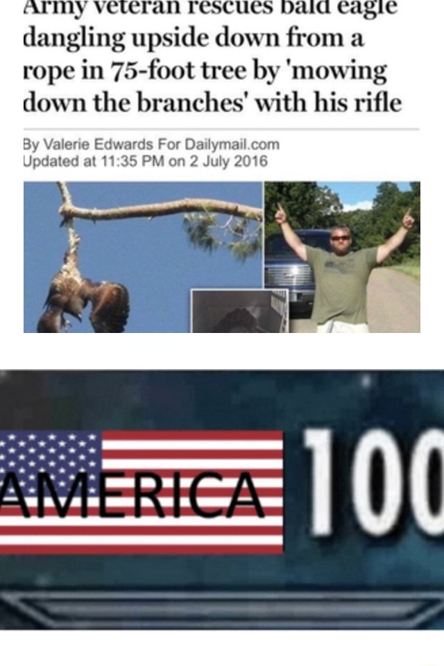 Dangling upside down from a rope in 75-foot tree by' momng down the ...