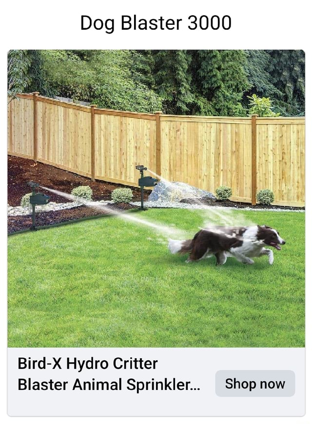 Dog Blaster 3000 Bird-X Hydro Critter Blaster Animal Sprinkler... Shop ...