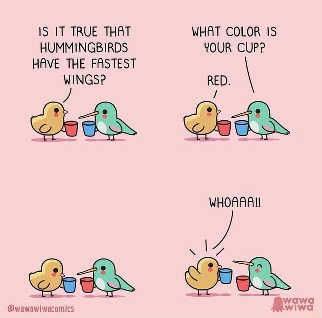 IT TRUE THAT HUMMINGBIRDS HAVE THE FASTEST WINGS? AS Qwawawiwacomics ...