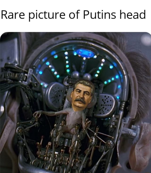 Rare picture of Putins head - iFunny
