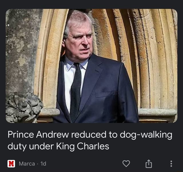 Prince Andrew reduced to dog-walking duty under King Charles Marca - th ...