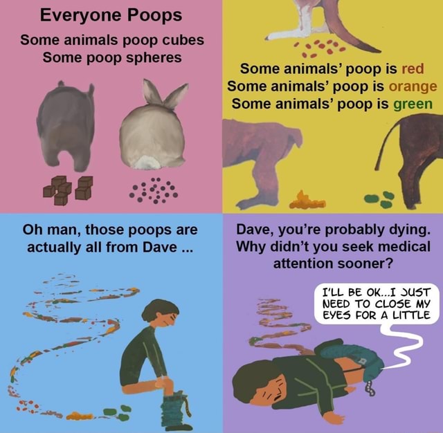 Everyone Poops Some animals poop cubes Some poop spheres poop SP Some ...