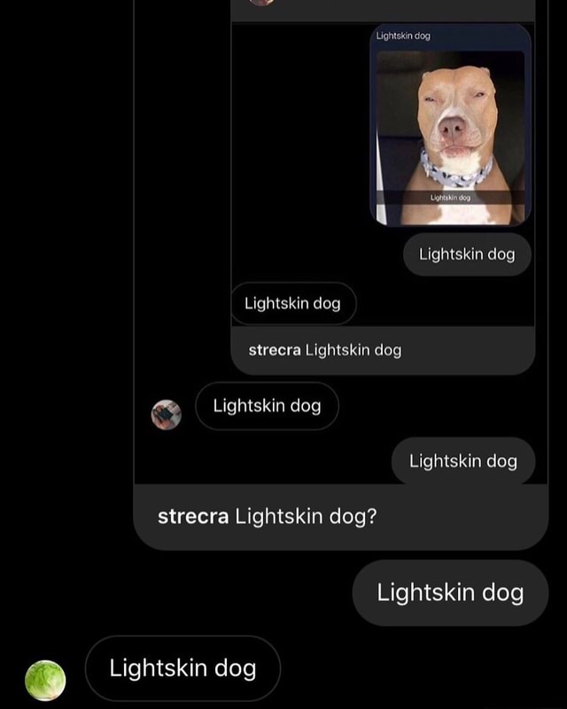 Lightskin dog Lightskin dog strecra Lightskin dog Lightskin dog ...