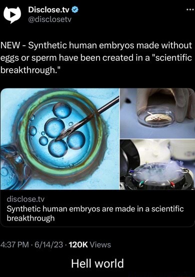 Disclose.ty NEW - Synthetic human embryos made without eggs or sperm ...