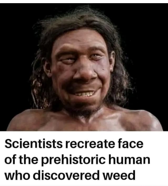 Scientists recreate face of the prehistoric human who discovered weed ...