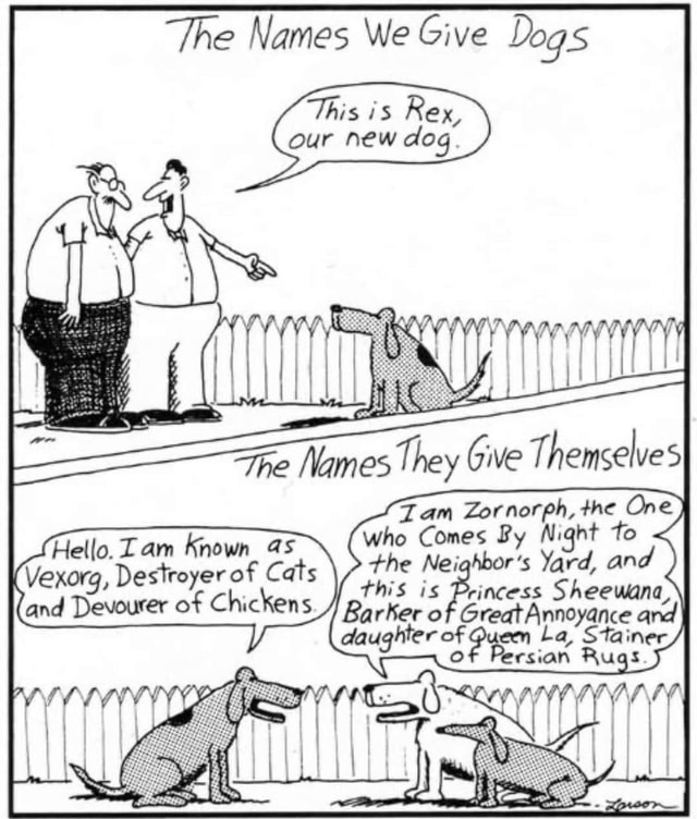 The Names We Give Dogs This is Rex, our new dog They Give Tam Zornorph ...