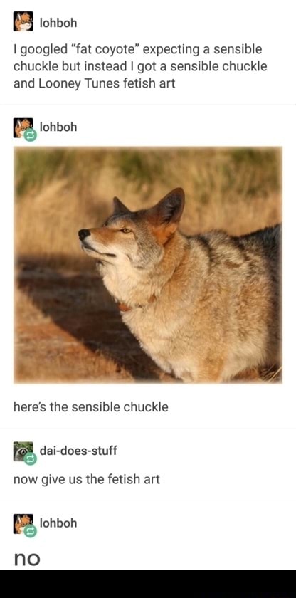 H I googled ”(at coyote" expecking a sensible chuckle but Instead I gm ...