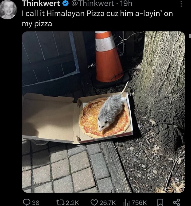 Thinkwert @Tninkwert I call it Himalayan Pizza cuz him a-layin' on my ...