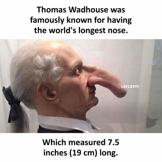 Meet the real-life Pinocchio: With 19 cm, this 18th-century man had the ...