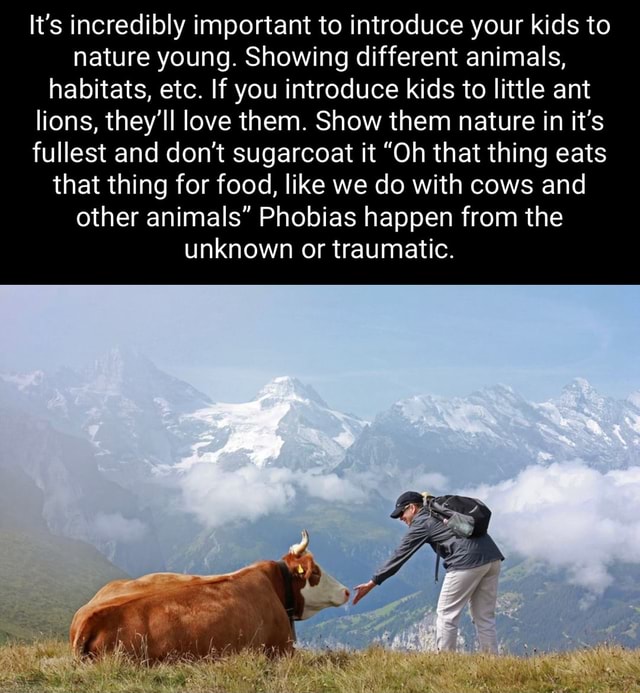 It's incredibly important to introduce your kids to nature young ...