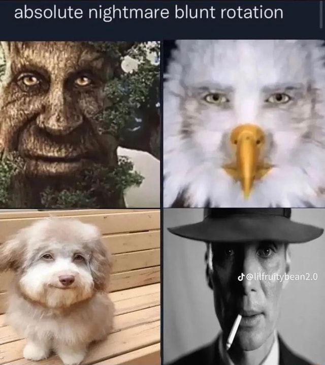 Absolute nightmare blunt rotation I - iFunny