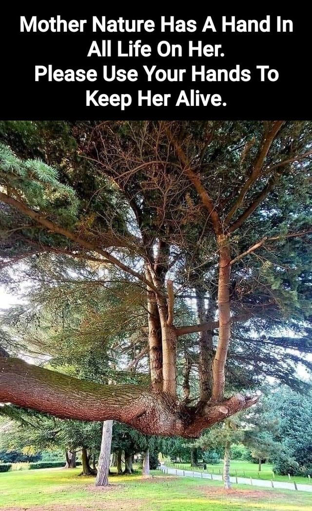 Mother Nature Has A Hand In All Life On Her. Please Use Your Hands To ...