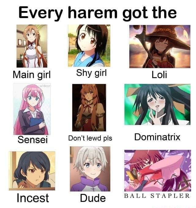 Every harem got the Main girl Shy girl Loli Sensei Don't lewd ...