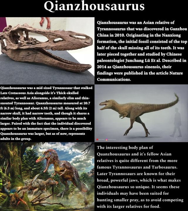Qianzhousaurus Qianzhousaurus was an Asian relative of Tyrannosaurus ...