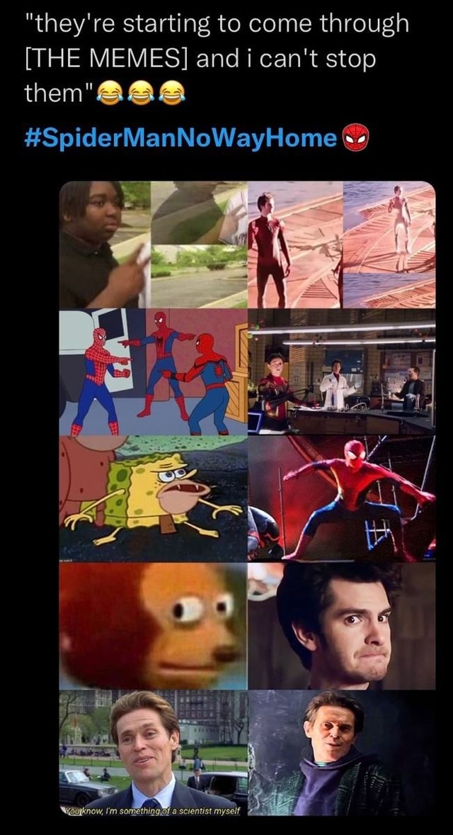 "they're starting to come through (THE MEMES] and i can't stop them' # ...