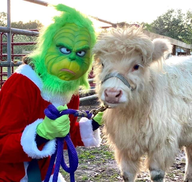 Christmas in July! Throwback to when the Grinch tried to steal kisses ...
