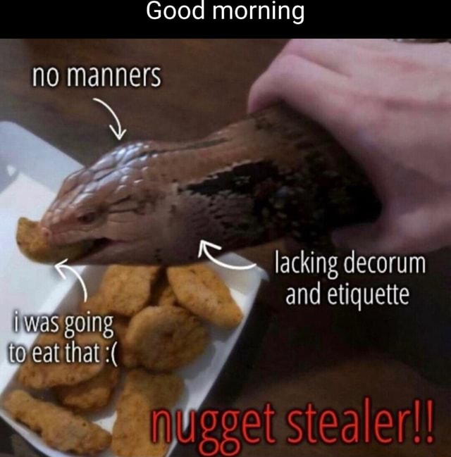 Good morning no manners lacking decorum and etiquette iwas going to eat ...