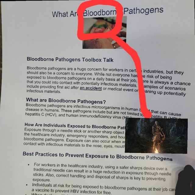 Bloodbor Pathogens Bloodborne Pathogens Toolbox Talk Bloodborne ...