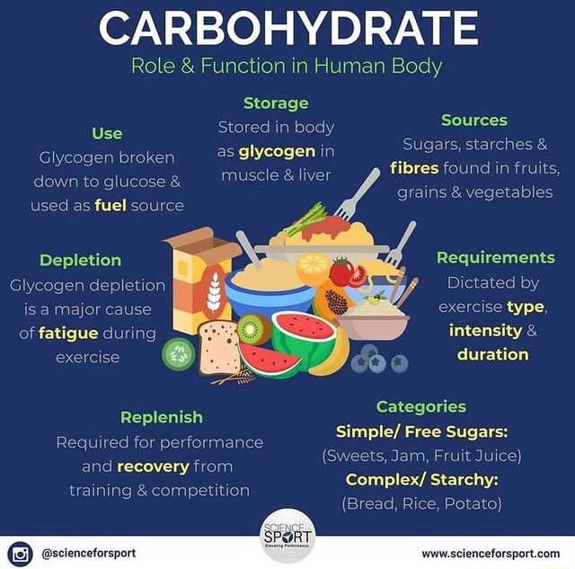 CARBOHYDRATE Role & Function in Human Body Storage Use Stored in body ...