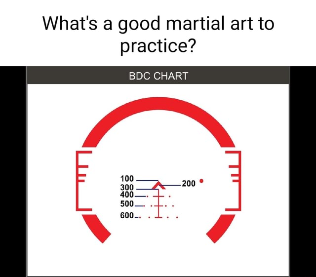 What's a good martial art to practice? BDC CHART - iFunny