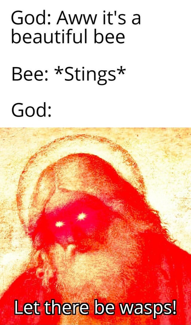 God: Aww it's a beautiful bee Bee: *Stings* God: Let there be wasps ...