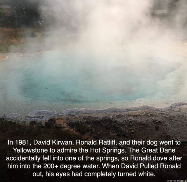In 1981, David Kirwan, Ronald Ratliff, and their dog went to ...