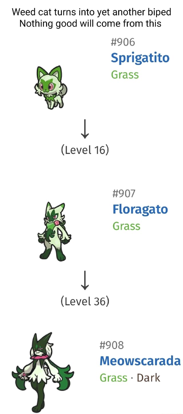 Weed cat turns into yet another biped Nothing good will come from this ...