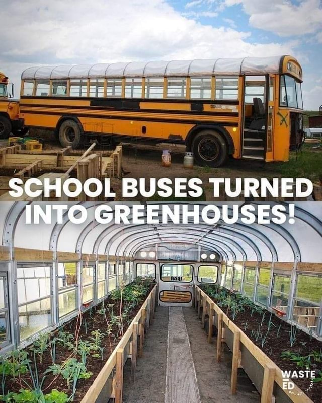 SCHOOL BUSES TURNED INTO GREENHOUSES! ea WASTE ED - America’s best pics ...