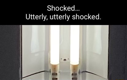 Shocked Utterly, utterly shocked - iFunny