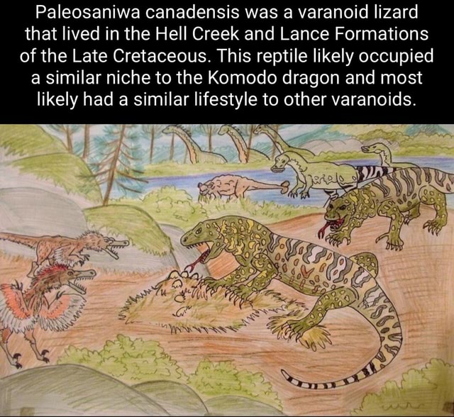 Paleosaniwa canadensis was a varanoid lizard that lived in the Hell ...