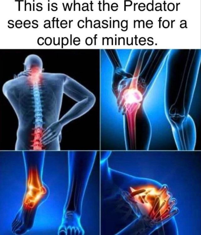 This is what the Predator sees after chasing me for a couple of minutes ...