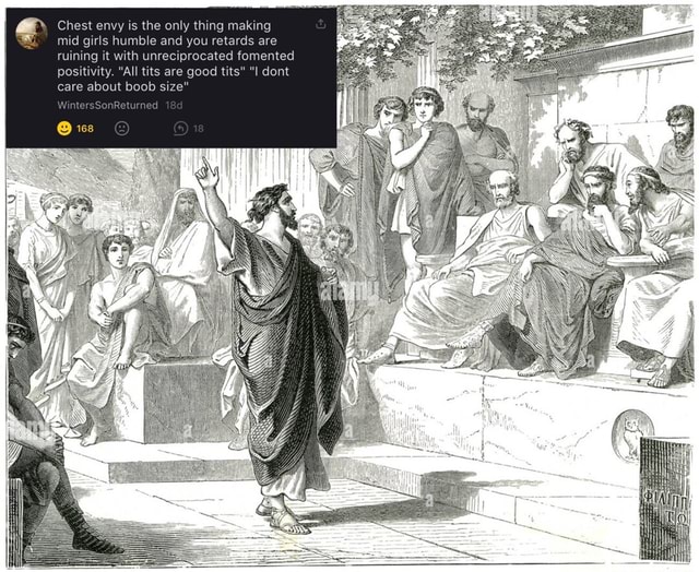 Chest envy is the only thing making mid girls humble and you retards ...