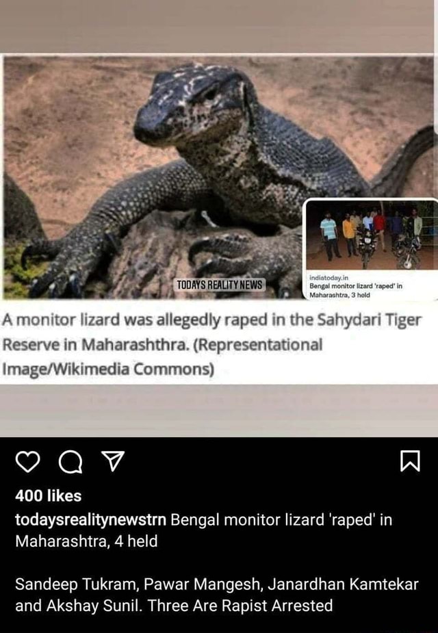 A monitor lizard was allegedly raped in the Sahydari Tiger Reserve in ...