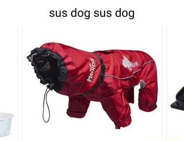 Sus dog sus dog - iFunny