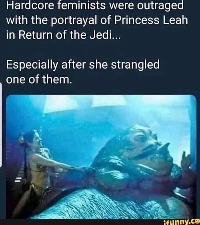 Hardcore feminists were outraged with the portrayal of Princess Leah in ...
