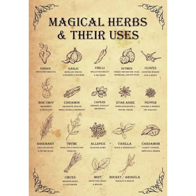 MAGICAL HERBS & THEIR USES GINGER CHILLI NUTMEG REPELLING TEYES SPELLS ...