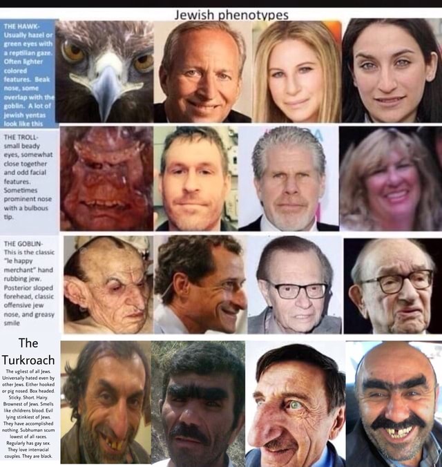 Jewish phenotypes The Turkroach The ugliest of all Jews. Universally ...
