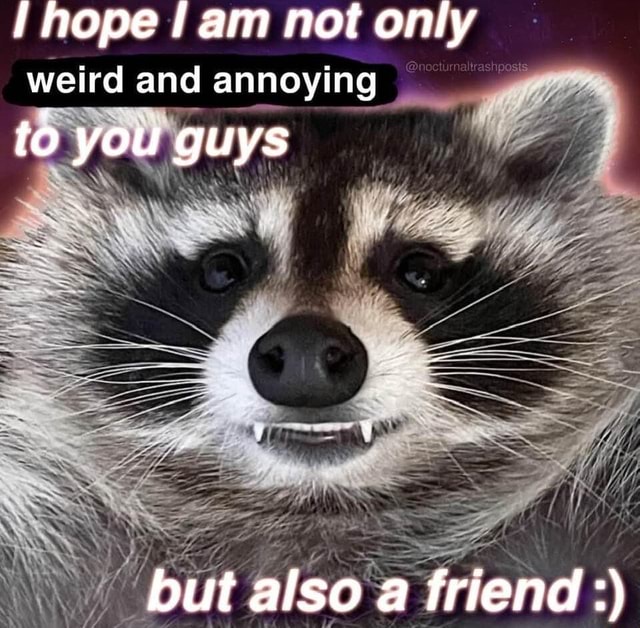 Hope am not only weird and annoying to you guys but also a friend - iFunny