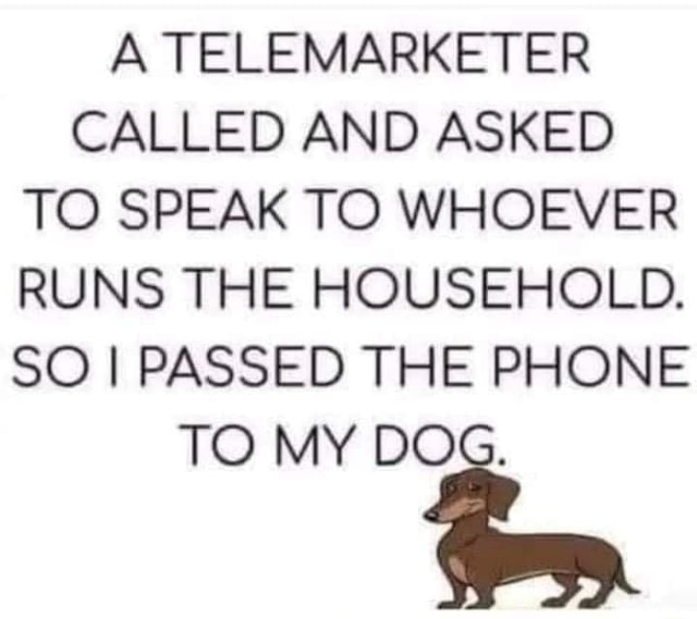 A TELEMARKETER CALLED AND ASKED TO SPEAK TO WHOEVER RUNS THE HOUSEHOLD ...
