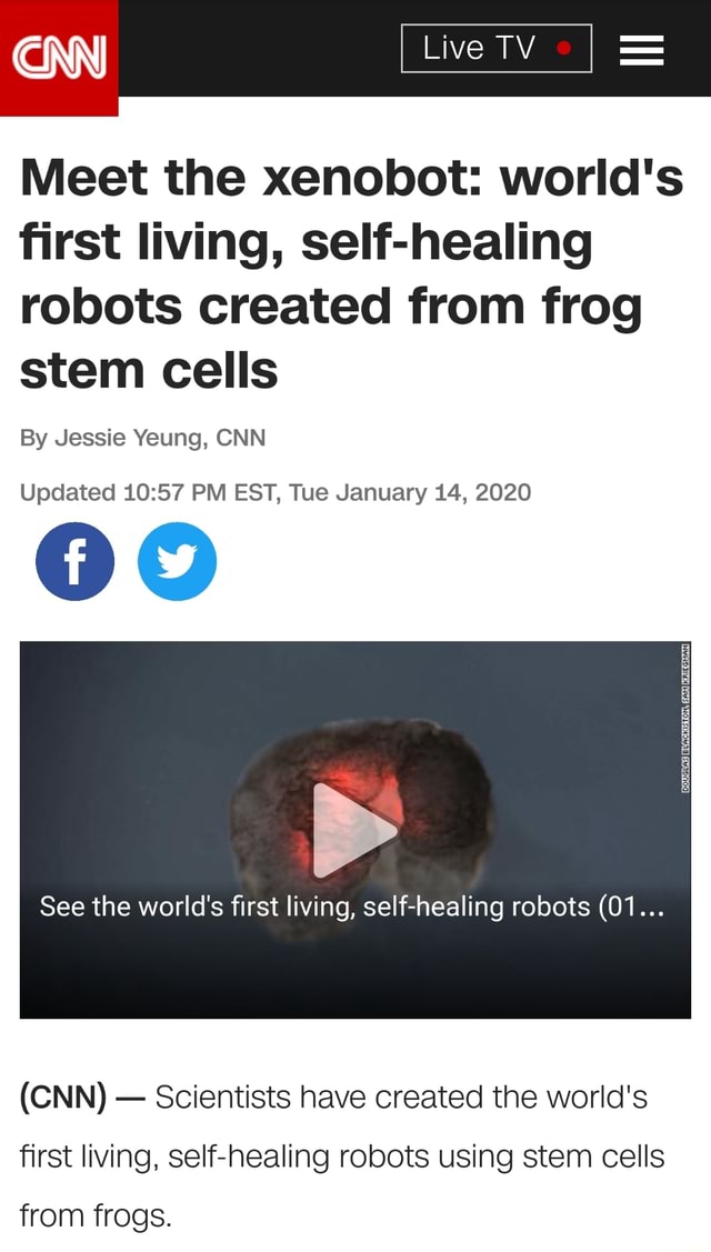 Meet the xenobot: world's first living, self-healing robots created from frog stem cells By ...