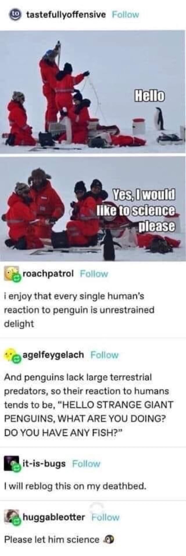 Taste Yes. (ike pease i enjoy that every single human's reaction to ...