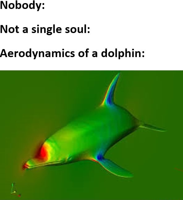 Nobody: Not a single soul: Aerodynamics of a dolphin: - iFunny