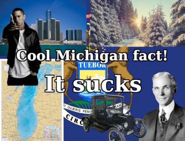 Cool_Michigan fact! sticks - iFunny