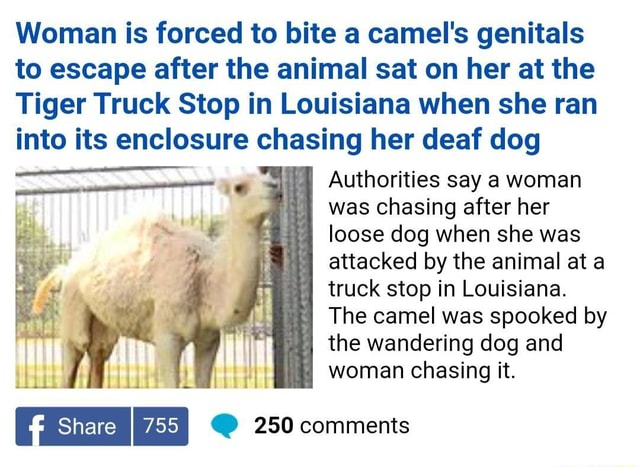 That is a wild headline from start to finish - Woman is forced to bite ...