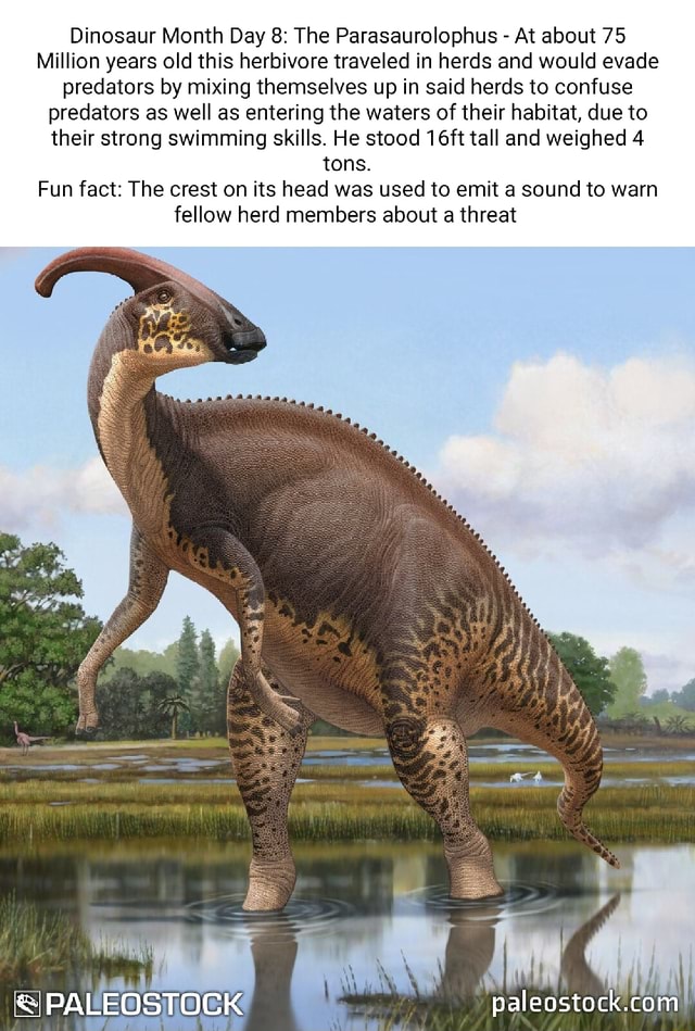 Dinosaur Month Day 8: The Parasaurolophus - At about 75 Million years ...