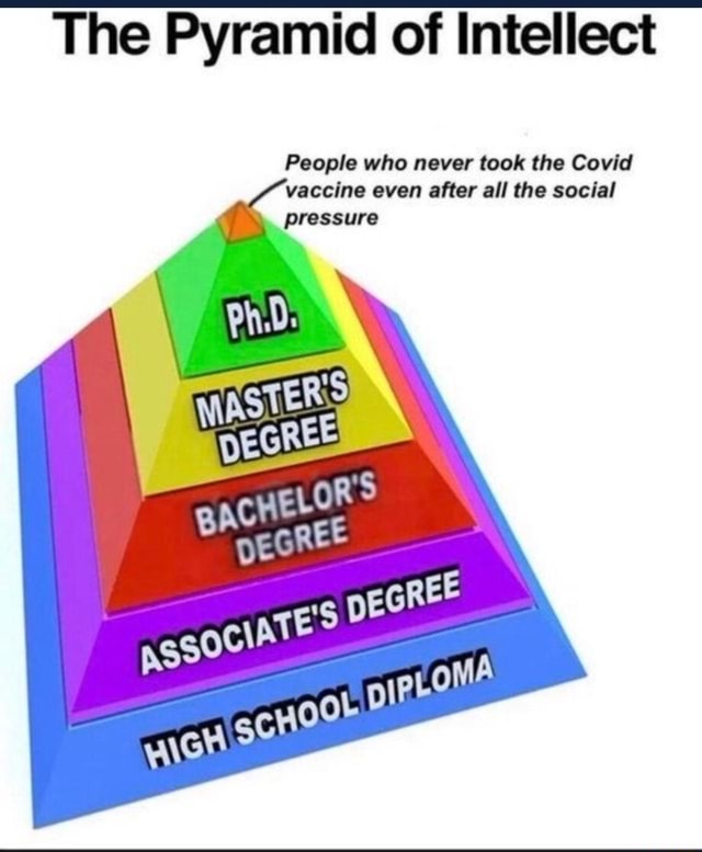 The Pyramid of Intellect People who never took the Covid vaccine even ...