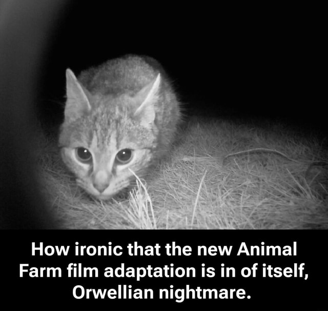 How ironic that the new Animal Farm film adaptation is in of itself ...