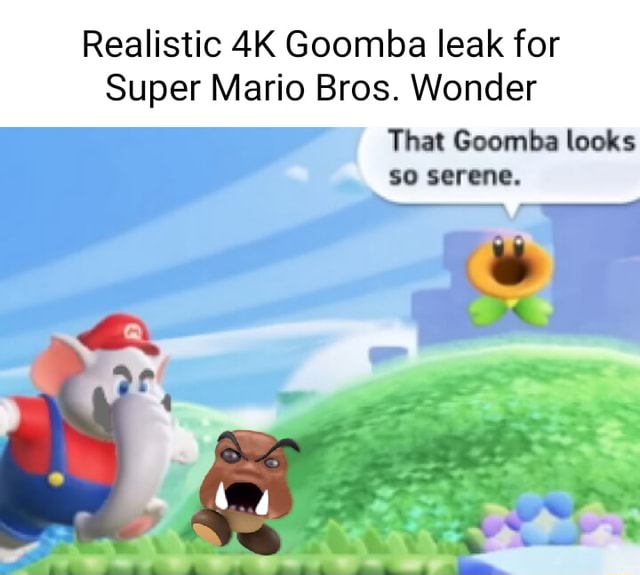 Realistic Goomba leak for Super Mario Bros. Wonder That Goomba looks so ...